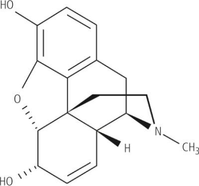 Morfina: definizione e significato medico | Corriere Salute