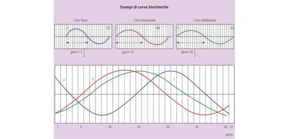 Cronobiologia: definizione e significato medico | Corriere Salute