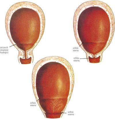 Parto: definizione e significato medico | Corriere Salute