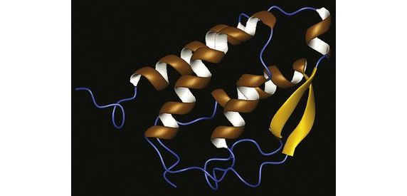 Citochine: definizione e significato medico | Corriere Salute