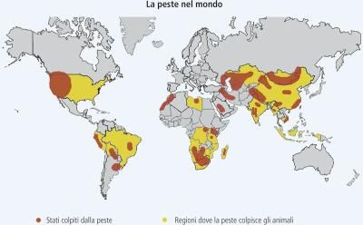 Infezione: definizione e significato medico | Corriere Salute