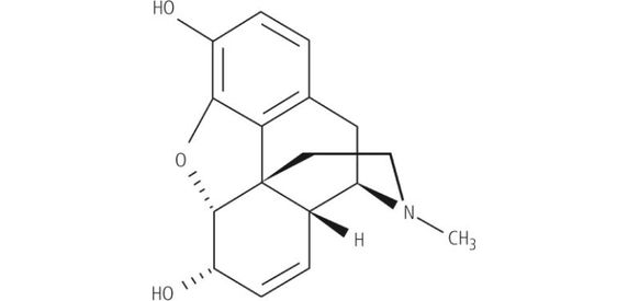 Morfina: definizione e significato medico | Corriere Salute