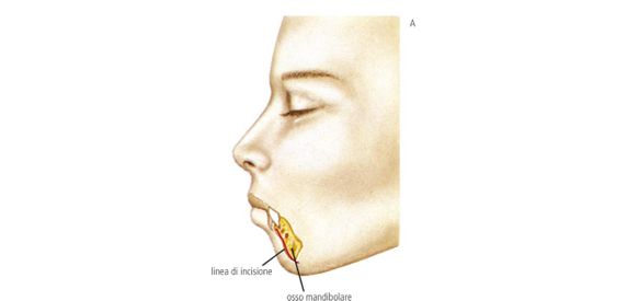 Mento: definizione e significato medico | Corriere Salute