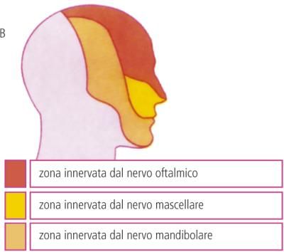 Nevralgia: definizione e significato medico | Corriere Salute