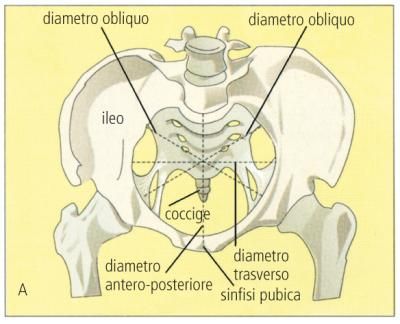 Parto: definizione e significato medico | Corriere Salute