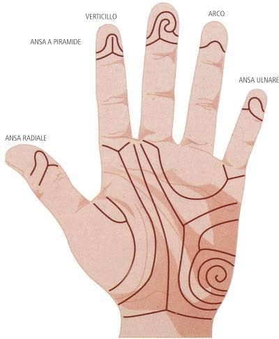 Mano: definizione e significato medico | Corriere Salute
