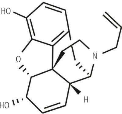 Nalorfina: definizione e significato medico | Corriere Salute