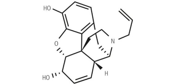 Nalorfina: definizione e significato medico | Corriere Salute
