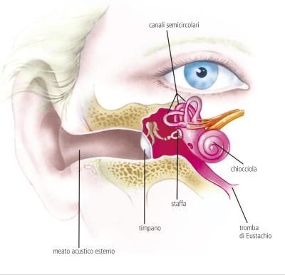 Otite: definizione e significato medico | Corriere Salute