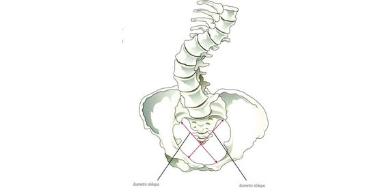 Distocia: definizione e significato medico | Corriere Salute