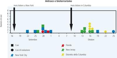 Antrace: definizione e significato medico | Corriere Salute
