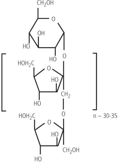 Inulina: definizione e significato medico | Corriere Salute
